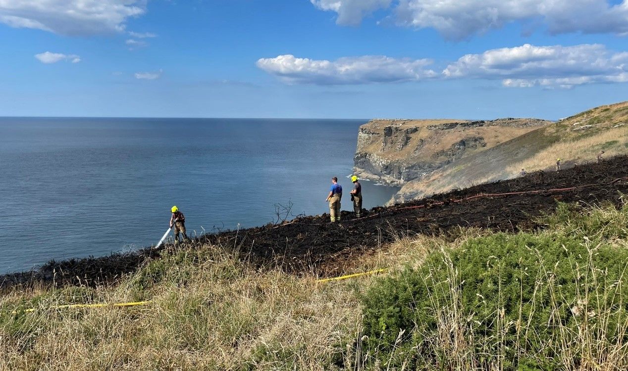 Large fire leaves stretch of north Cornwall cliff-top badly scorched